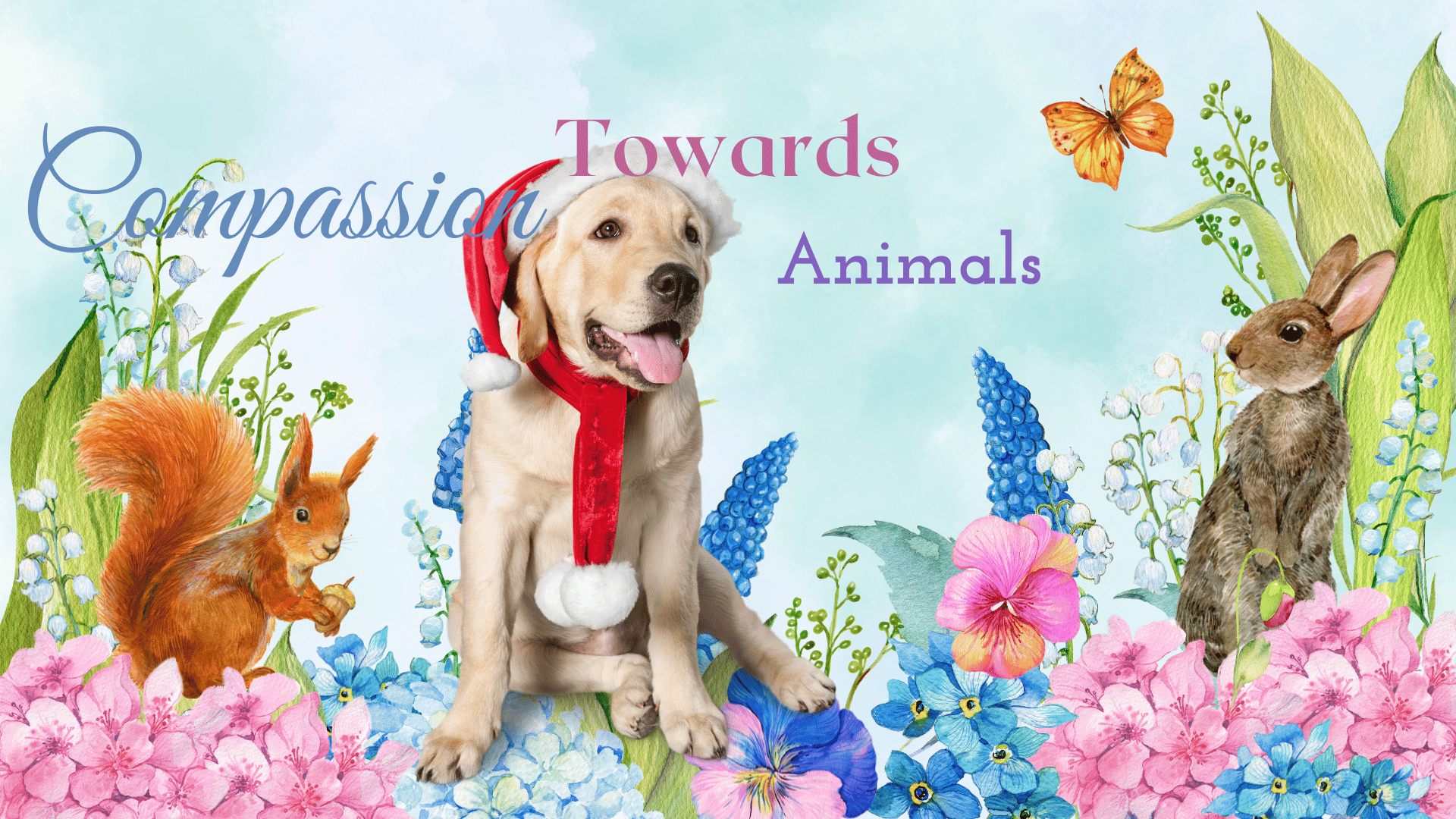 Unleashing Empathy: Why Compassion Towards Animals Is Key In Creating A ...